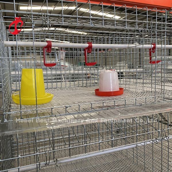 Quality Poultry Farm Broiler Chicken Cage 3 Tiers , A Type Battery Cage For Broilers for sale
