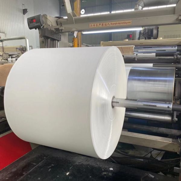 Quality 500mm 170g PE Coated Paper Roll 100% Virgin Wood Pulp Raw Material for sale