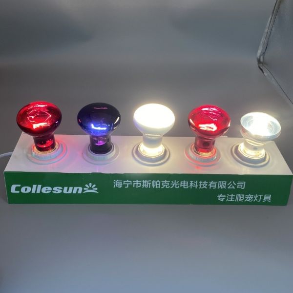 Quality White Blue Red Heat Lamp Bulb For Reptiles 75W Basking Bulb For Bearded Dragon for sale