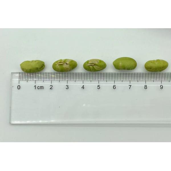 Quality Nutritious Crispy Unsalted Dry Roasted Edamame Kernel Protein Packed Snack for sale
