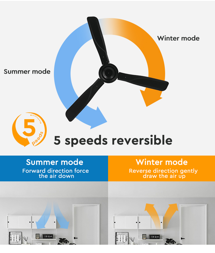 ceiling fan