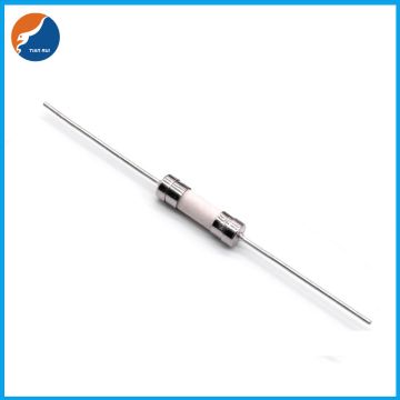 Quality 250V 5x20mm Slow Blow Fuse 25 Amp Time Delay Fuse Electronic Copper End Cap for sale