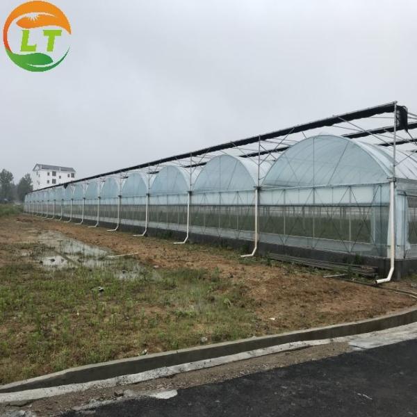 Quality 95% Transmittance Agricultural Plastic Film Greenhouse With Film Cover Material for sale