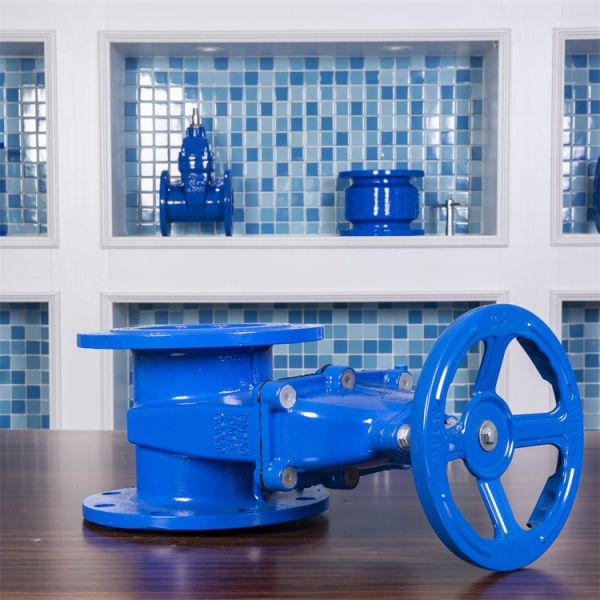 Quality DN50 F4 Elastic Seat Gate Valve QT450 GGG50 Sewage German Standard Soft Seal for sale