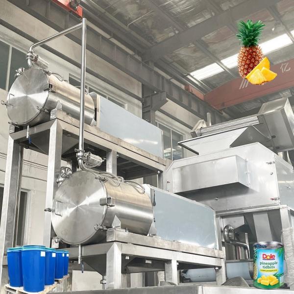 Quality Customized Automatic Pineapple Processing Line 304 Stainless Steel 220 - 380V for sale