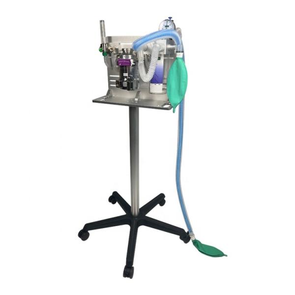 Quality Small Animal Anesthesia Machine Animals Surgery Use Veterinary Supplies for sale