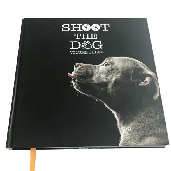 Quality Cmyk Pantone Custom Hardcover Book Printing 157 Gsm Glossy Paper for sale