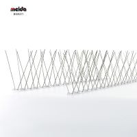 Quality Birds Spike for sale