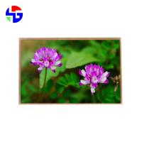 Quality 10.1 Inch LVDS Interface 40 Pin TFT LCD Display 1280x800 for sale