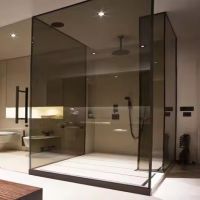 Quality Waterproof Frameless Shower Door with 6mm and 8mm Tempered Glass and Stainless for sale