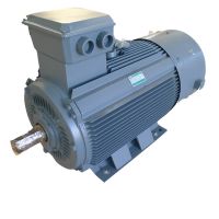 Quality Wind Turbine Permanent Magnet Generator Motor Low Speed for sale