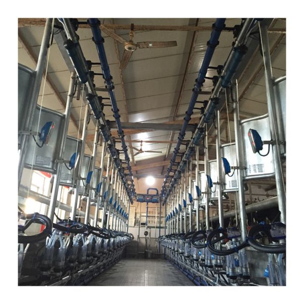 Quality Parallel Quick Release Automatic Cow Milking Parlor Electric Milk Meter for sale