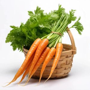 Quality High Quality Organic Fresh Carrots Top Grade 2024 Crop Carton Box Shandong for sale
