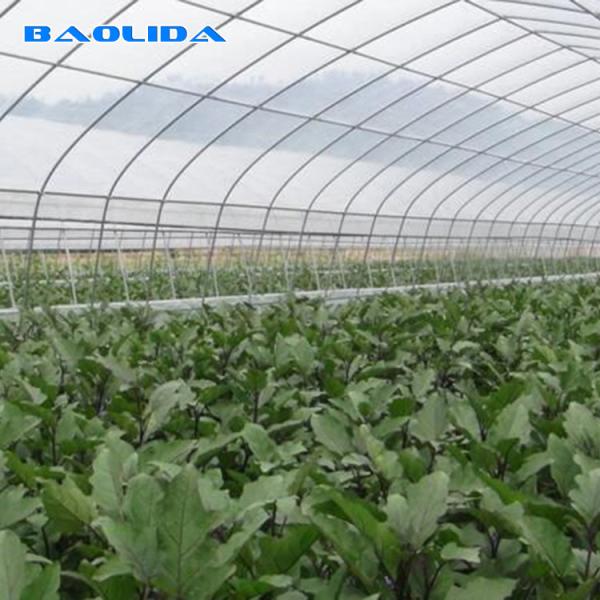Quality Agricultural PE Film Polyethylene Plastic Sheeting Greenhouse Commercial for sale