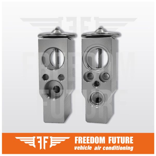 Quality 90512364 Auto AC Expansion Valve Fits 95-03 Opel Vectra Vauxhall Vectra for sale