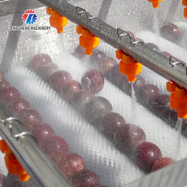 Quality Fruit And Vegetable Wool Roller Bubble Cleaning Machine 1500KG/H for sale