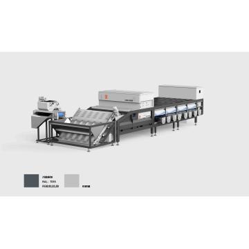 Quality 380V 50Hz 6 Lanes Robot Sorting Machine Electric Drive For Dates for sale