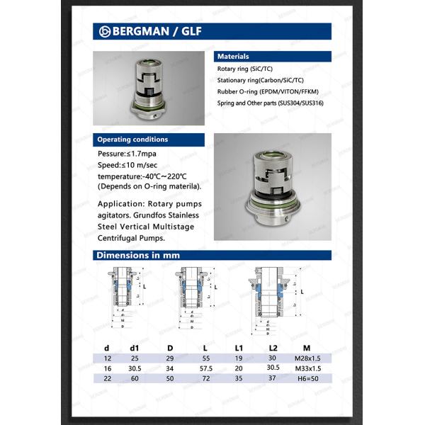 Quality Replace Grundfos GLF-12 16 22 32 36mm CR CRN CRI Pump Mechanical Seal HQQV HQQE for sale