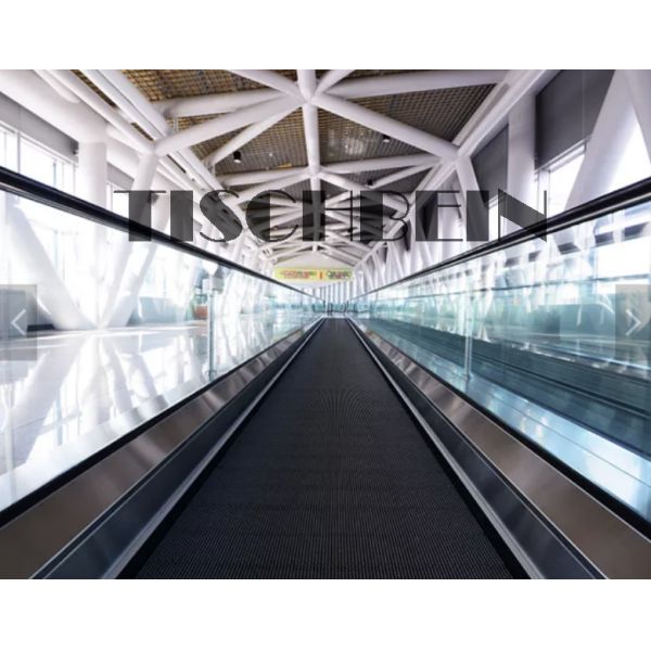 Quality 0° -12° Indoor Outdoor 800mm 1000mm Pallet Width Moving Walk Hot-dip Galvanized Truss For Railway Station Subway etc for sale
