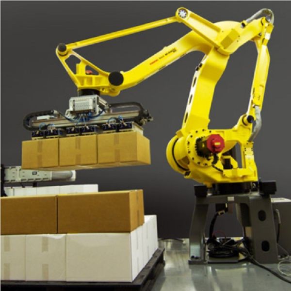Quality 4 Axis Palletizing Robot Arm for sale