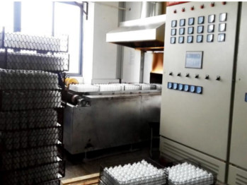 Quality Mesh Belt Electric Glass Flower Baking Annealing Furnace for sale