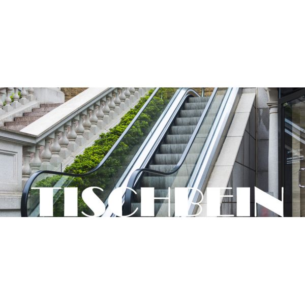 Quality Stainless Steel Commercial Escalator for sale