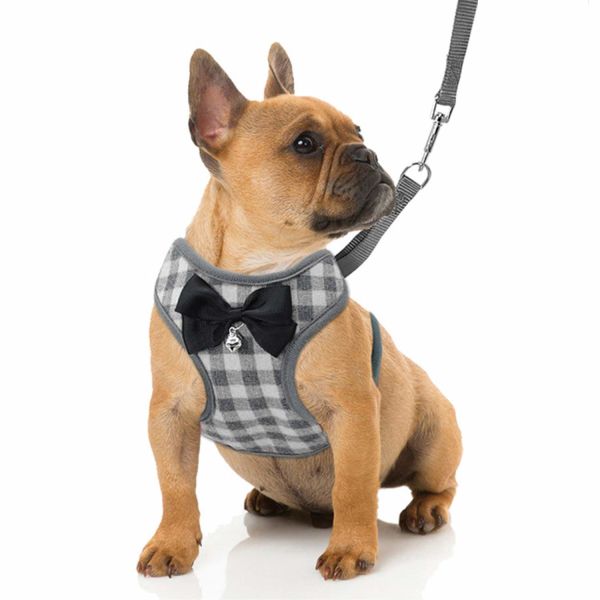 Quality No Pull Small Dog Harness And Leash Set With Breathable Soft Mesh Nylon Vest for sale