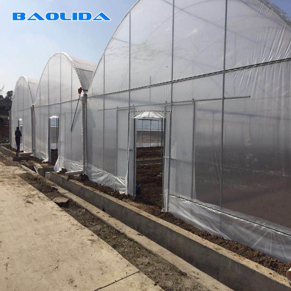 Quality PE Film Covering Heavy Duty Plastic Greenhouse / Prefabricated Poly Tech for sale