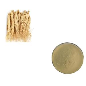 Quality Anti-Osteoporotic Ginsenoside Rg3 For Functional Food Ingredients for sale