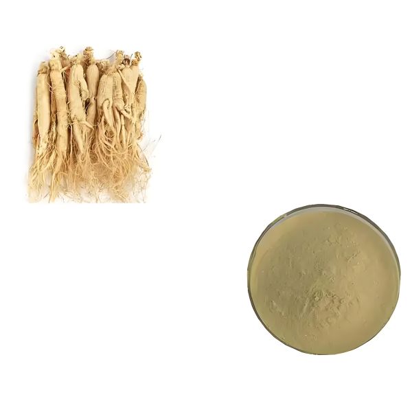 Quality Anti-Osteoporotic Ginsenoside Rg3 For Functional Food Ingredients for sale