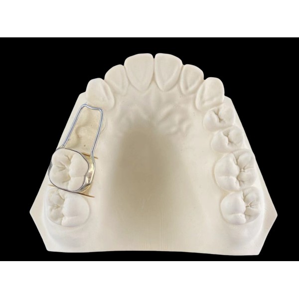 Quality Flexible Band And Loop Space Maintainer Adjustable Orthodontic Functional for sale