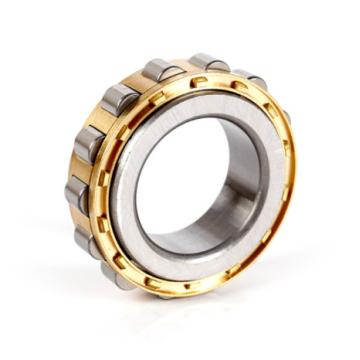 Sealed Cylindrical Roller Bearings NU232 NU236 NJ238 High Load Capacity