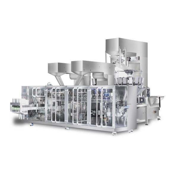 Quality ISO Horizontal Pouch Packing Machine Granule Chestnut Kernel Sachet Filling Packing Machine for sale