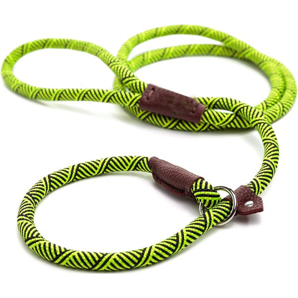 Quality Extremely Durable Dog Harness Leash Mountain Climbing Rope Lead Nylon Material for sale