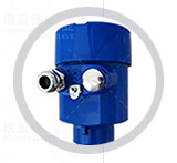 Quality IP67 Flat Blade Rotary Paddle Level Switch With Motor for sale