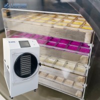 Quality 12-14kg/Batch Yogurt Fruit Smoothie Freeze Dryer Liquids Freeze Drying At Home for sale