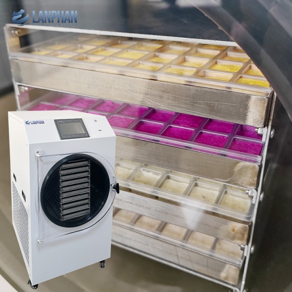 Quality 12-14kg/Batch Yogurt Fruit Smoothie Freeze Dryer Liquids Freeze Drying At Home Equipment for sale