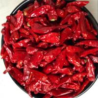 Quality Strong Pungent Red Bullet Chilli Without Stem Dehydrating 30000 Shu for sale