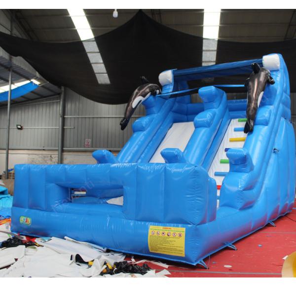 Quality Unisex Inflatable Dry Slide Customized Size Inflatable Castle Slides for Water for sale