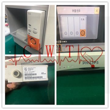 Quality 90 Days AC 100V-240V Ecg And Spo2 Monitor Medical Equipment Module for sale