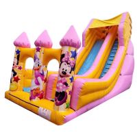 Quality 5-10 Passengers Commercial PVC Cartoon Style Pink Jumping Dry or Water Slide for sale