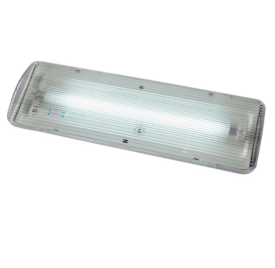 Quality 220V LED Battery Rechargeable Emergency Light With Test Button IP20 L103N for sale