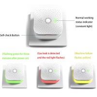 Quality International Common CH4 Gas Alarm Detector For Uganda With CE RoHS AC 265V for sale