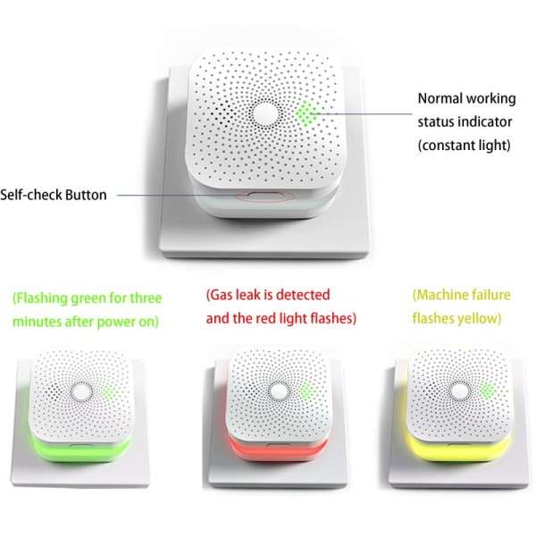 Quality International Common CH4 Gas Alarm Detector For Uganda With CE RoHS AC 265V for sale