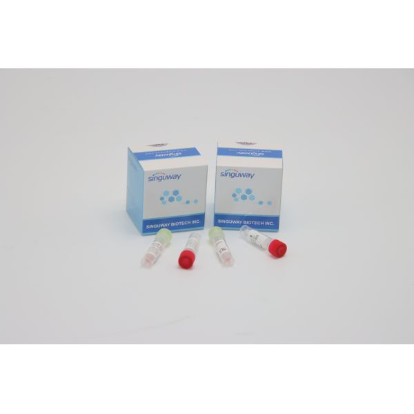 Quality CE PCR Swab Test Kit Hepatitis B And C Test Kits Clinical Diagnosis for sale