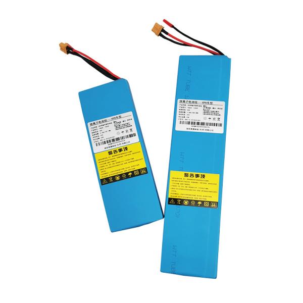 Quality 24V 36V Electric Scooter Portable Battery Rechargeable Long Cycle for sale