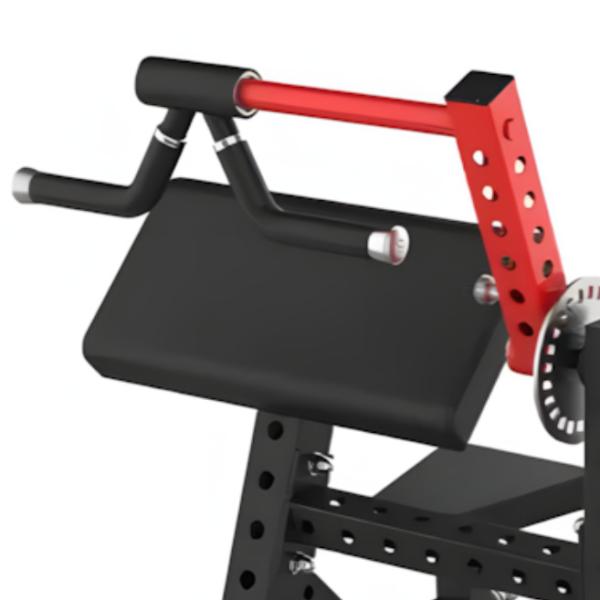Quality Biceps & Triceps Extension Machine for Bodybuilding Fitness for sale