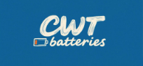 China China World Technology Battery Service Group logo