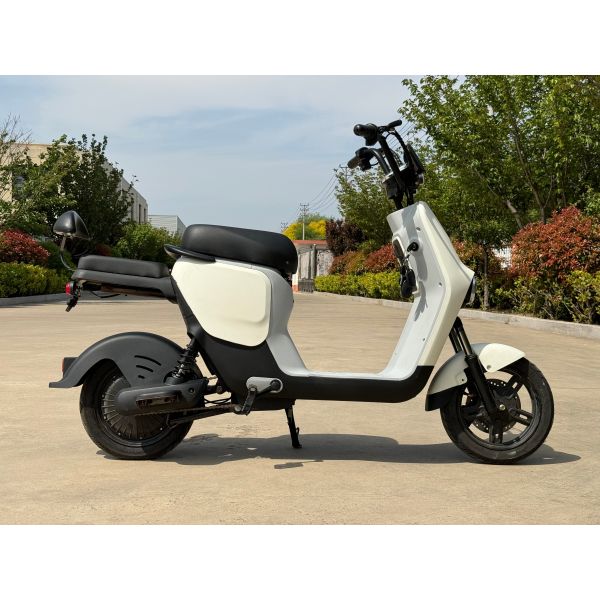 Quality L1-D 350W Electric Two-Wheeler for sale