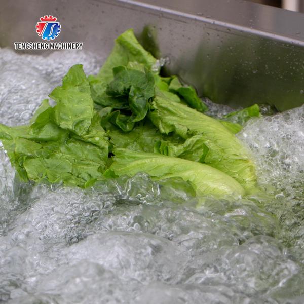 Quality 2000KG/H Fruit And Vegetable Washing Machine Bubble Washing Equipment for sale